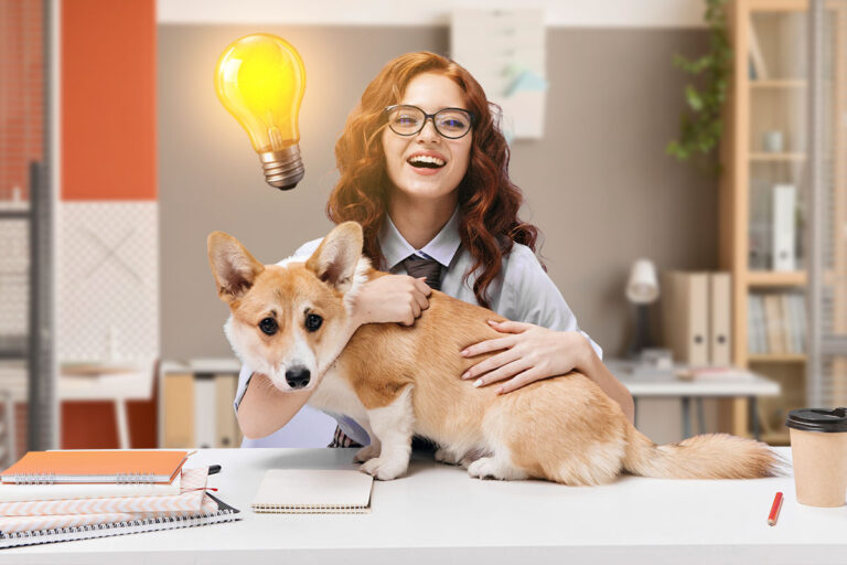 27 Profitable Pet Business Ideas for You to Start in 2025 - UpFlip